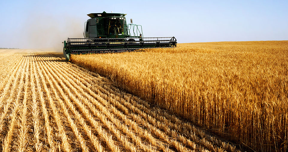 Granicor Agronegocios.